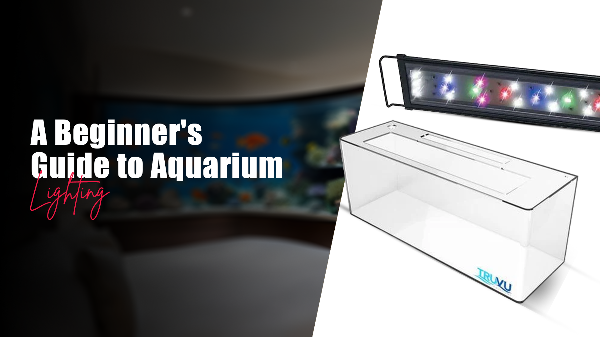 Aquarium Lighting: A Beginner's Guide to Illuminating Your Fish Tank ...