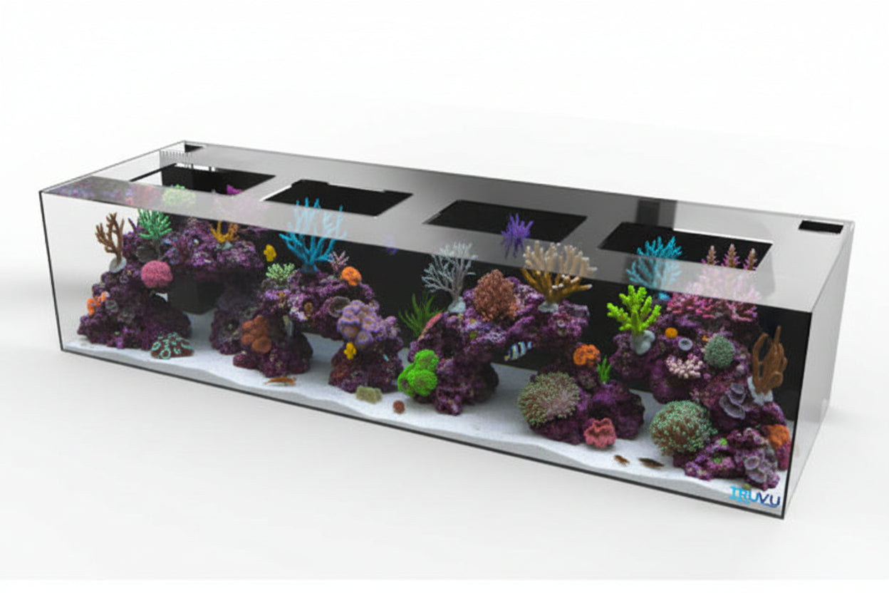 Saltwater Aquarium | TRUVU Aquariums
