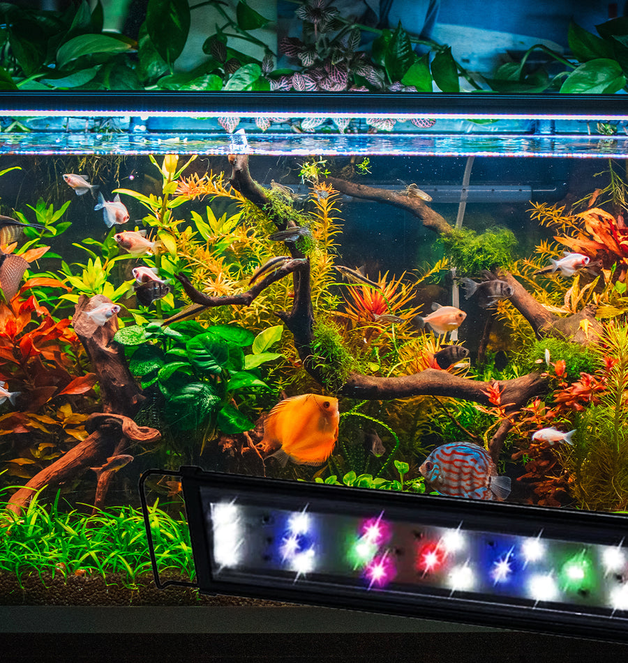 TRUVU Aquariums - Tomorrows Aquarium Today - Since 1972